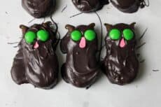 Hocus Pocus Cookies: No-Bake Binx Black Cat Cookies